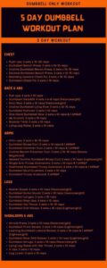 5 Day Dumbbell Workout: Workout Plan For Muscle Growth
