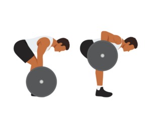 Pendlay Row vs Barbell Row: Which Is The Best For Strength?