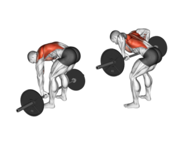 Pendlay Row: How To Perform, Tips & Top Benefits