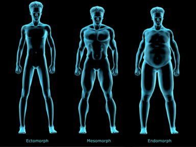 The Mesomorph Body Type: Best Exercises for Your Build