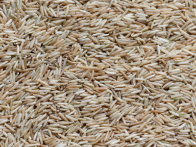 Is Rice Gluten Free? Everything You Need to Know